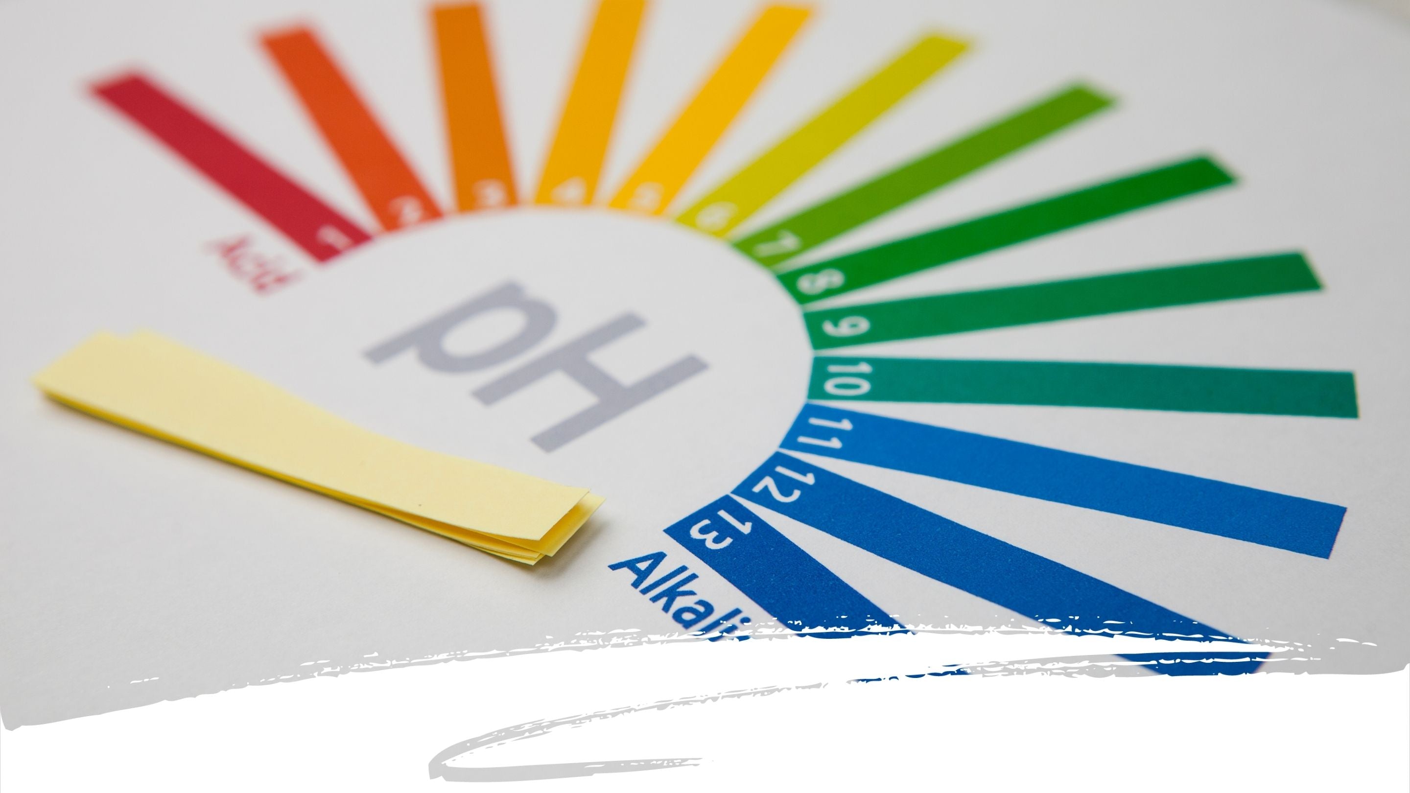 What PH Level Is Your Sunscreen And Why Should You Care KINeSYS what-ph-level-is-your-sunscreen-and-why-should-you-care-kinesys